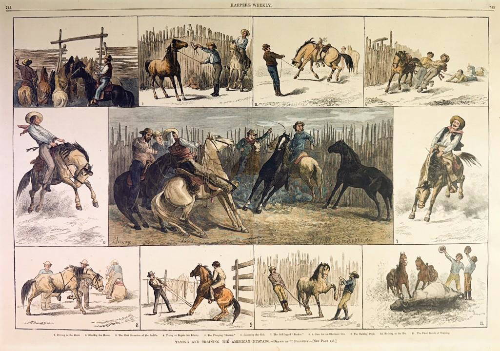 Harpers Weekly Engraving Hand Colored, Taming And Training Of The ...