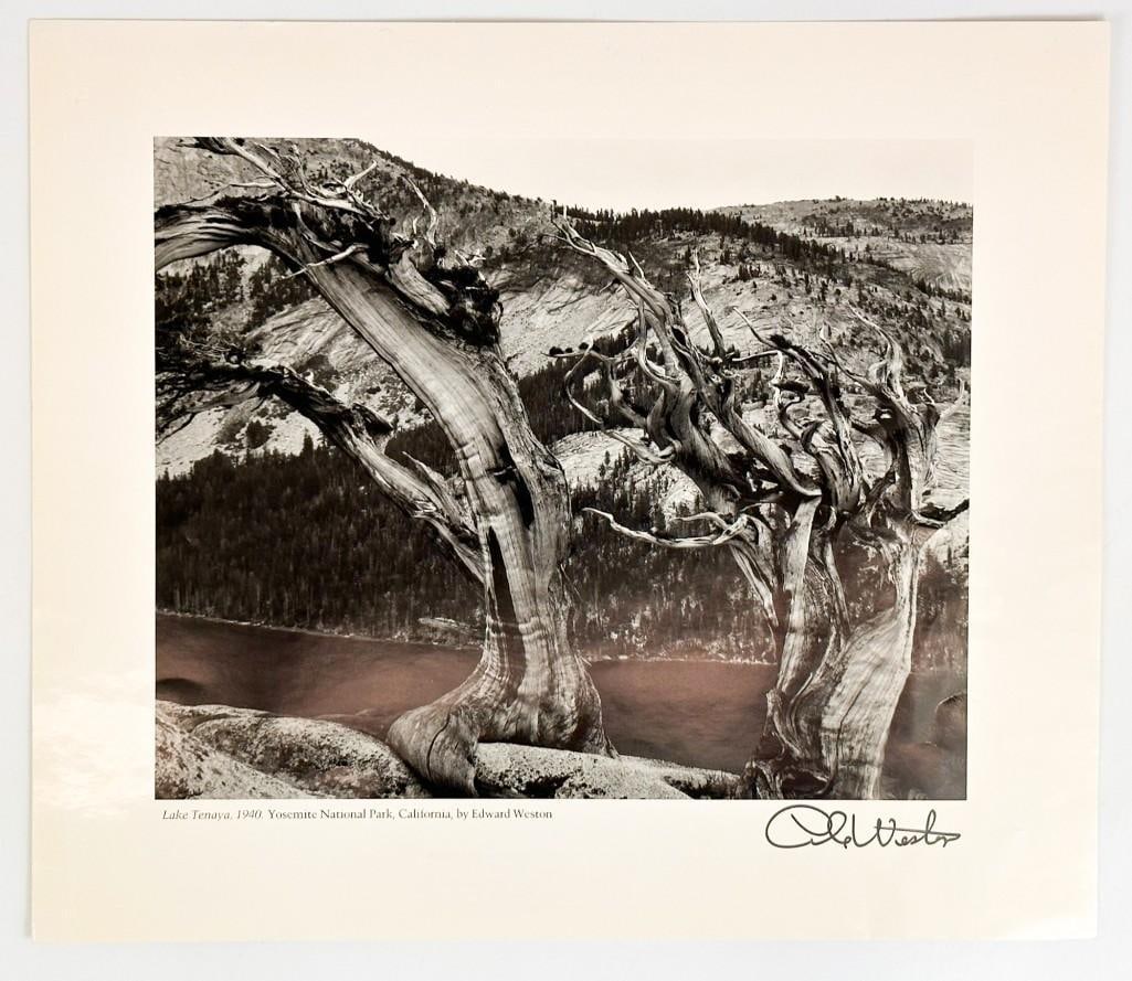 Edward Weston Photograph Signed By Cole Weston (1919 2003) Lake Tenaya ...
