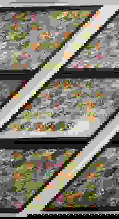 3 Display Cases Of Soda Bottle Caps Auction