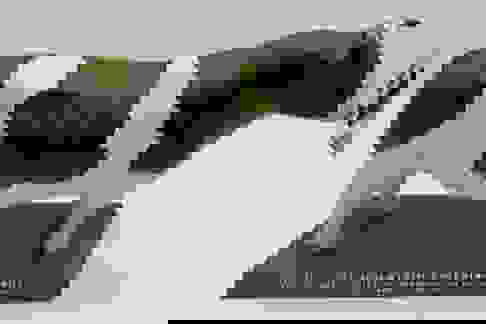 True-type Holstein-friesian Bull On Base Auction