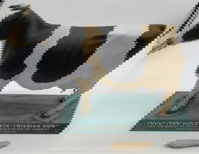 True Type Holstein Friesian Cow On Base