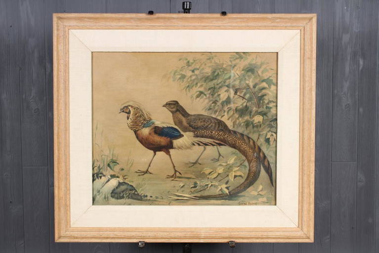 Conrad Roland Golden Pheasant Watercolor