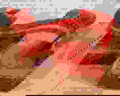 Victorian Era Velvet Tete A Tete Courting Bench Auction