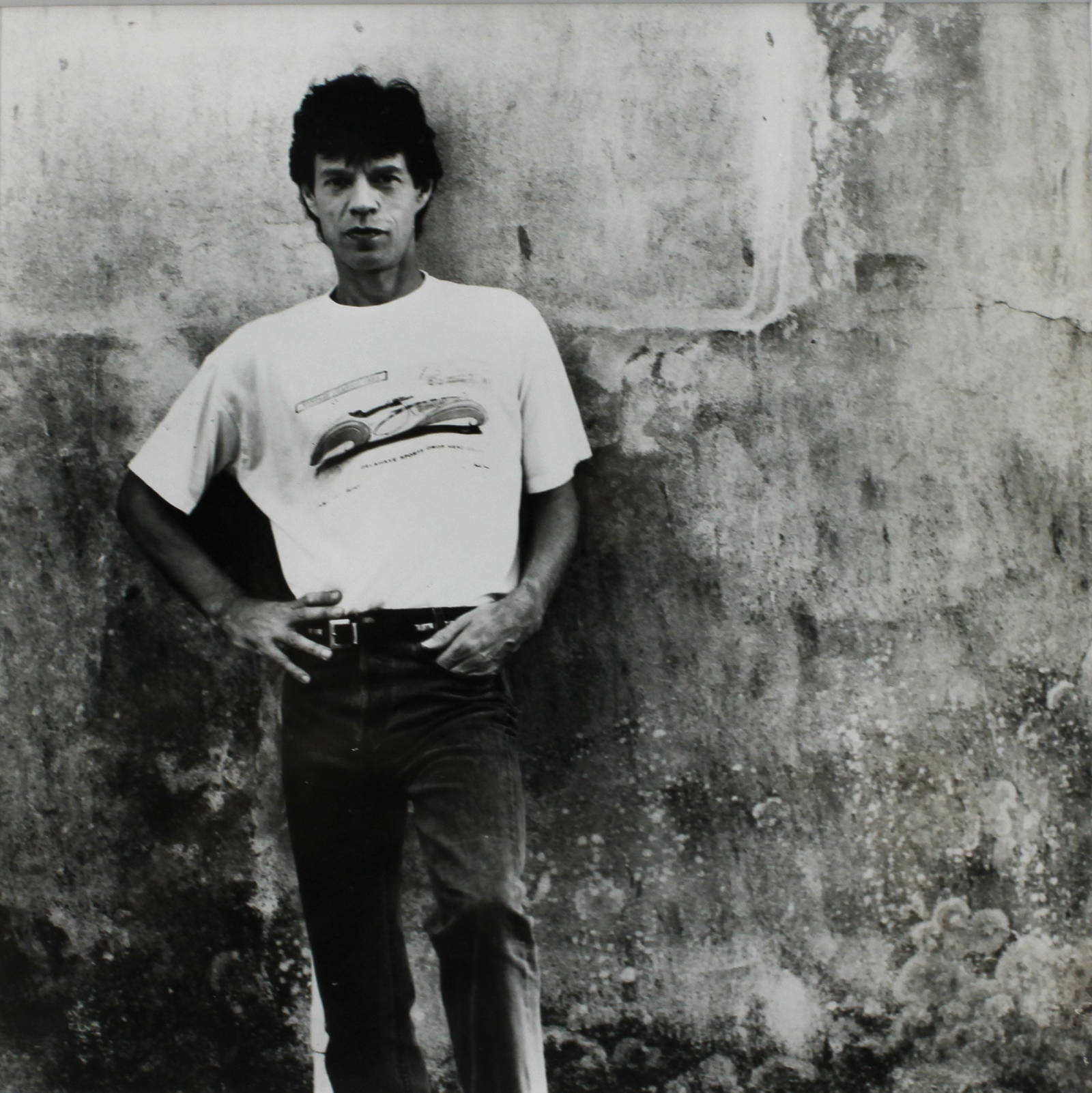 Mick Jagger By Dimo Safari Auction