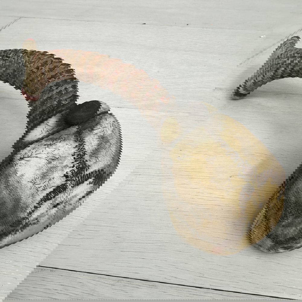 Primitive Native American Ladle Signed Waku Auction