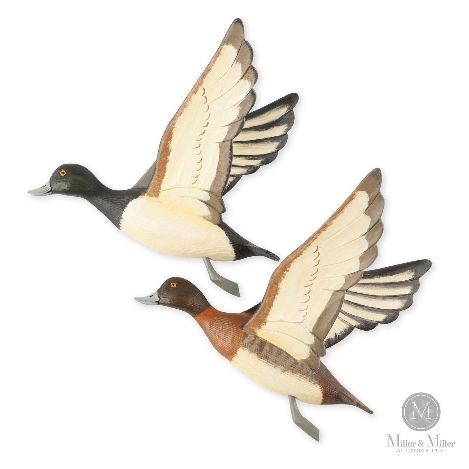 Pair Of Greater Scaup Ducks By Merle Franklin