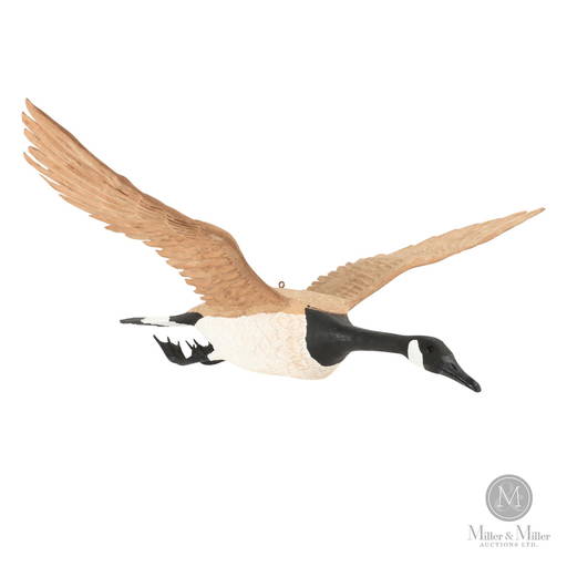 Flying Canada Goose By Gordon Mccartney