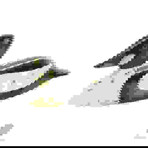 Golden Eye Drake Decoy Auction