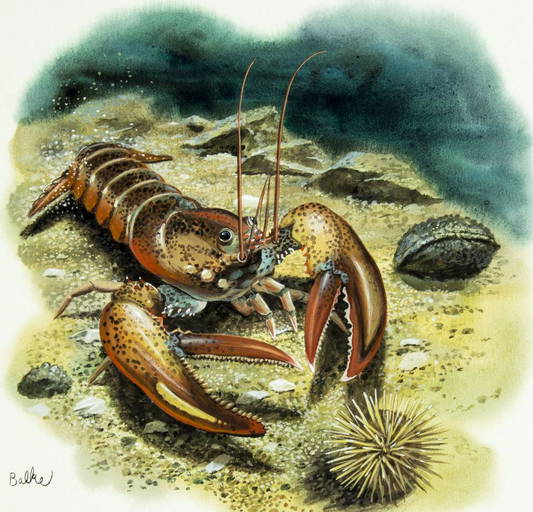 Don Balke (NC,born 1933) gouache painting - Jul 04, 2021 | Broward ...