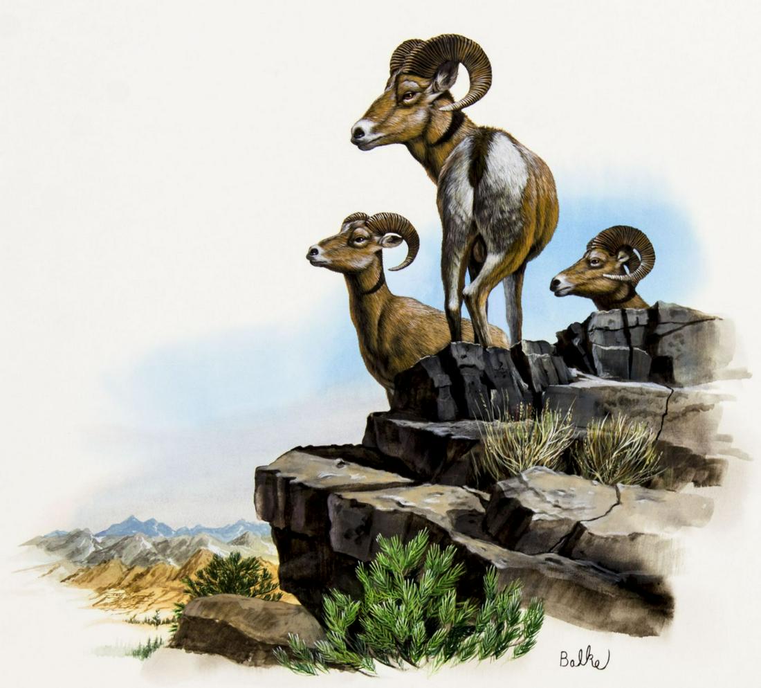 Don Balke (nc,b 1933) Watercolor Painting Auction