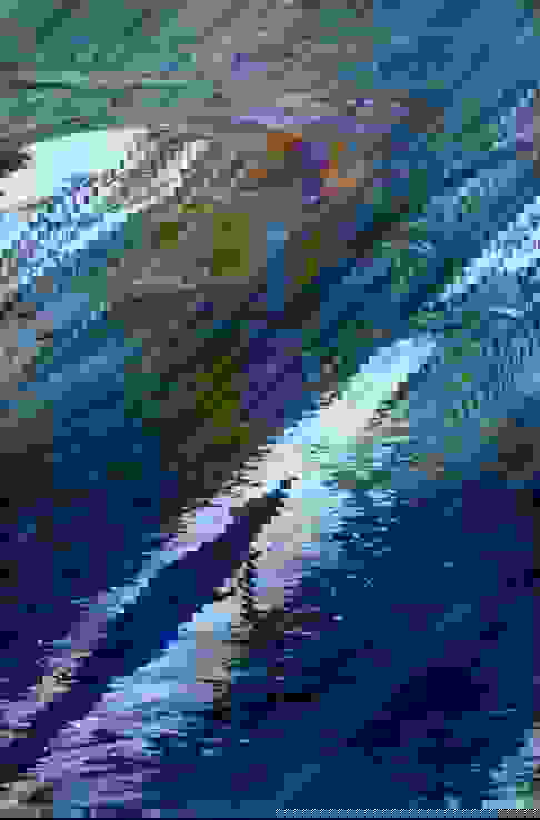 Tom Lynch (il,20/21c) Watercolor Painting Auction