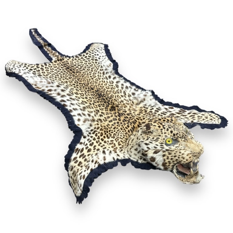 Genuine Leopard Skin Floor Rug 68" Length Auction