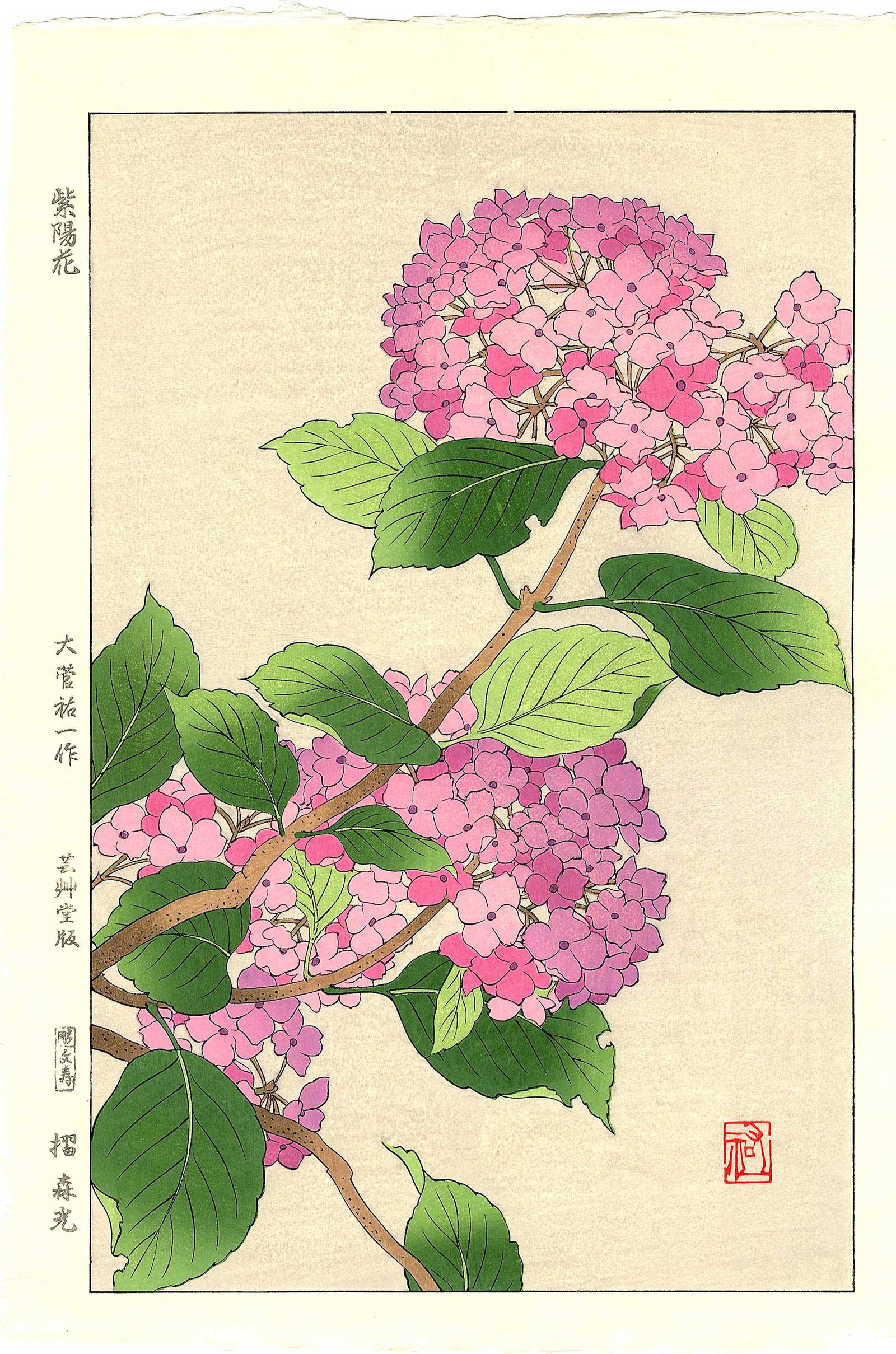 Osuga Yuichi: Violet Hydrangea 1954 Woodblock Auction