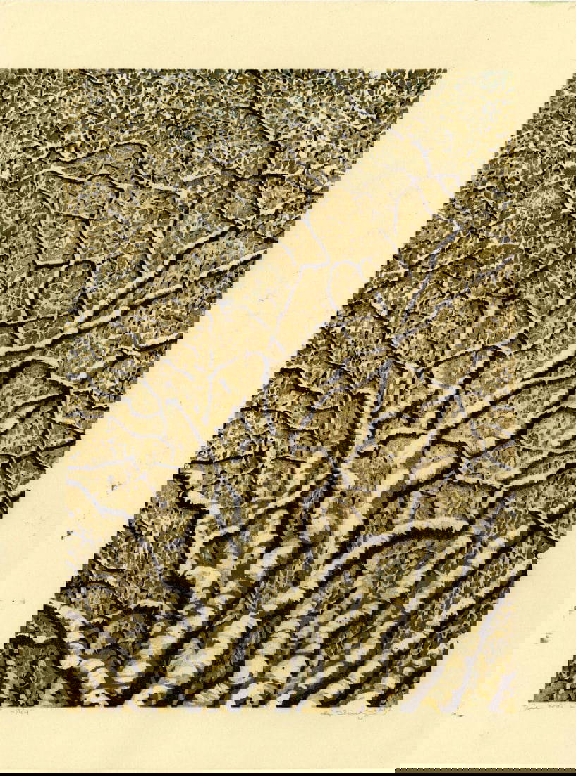 A. Starkey: Tree No. 23 1st Edition Woodblock Nr Auction