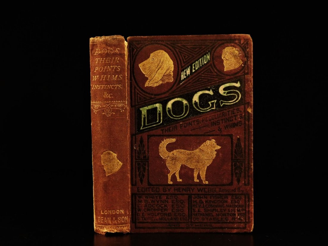 1873 DOGS Dog Shows Breeding Illustrated Animals