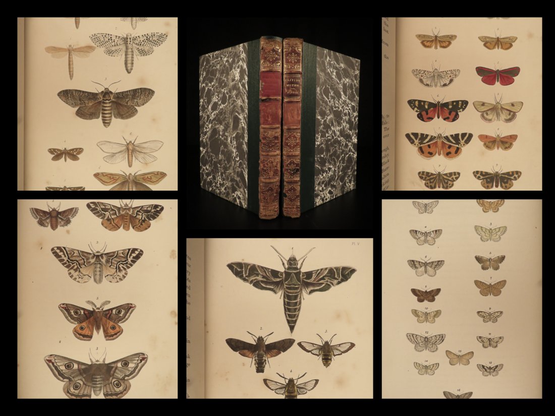 1861 British Moths Science Darwin Evolution (#0049) on Jan 09, 2022 ...