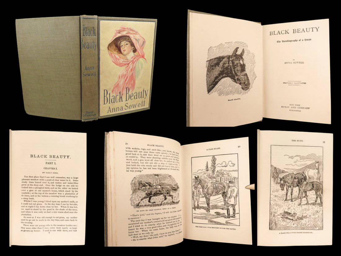 1903 Black Beauty Anna Sewell Horses Equestrian Illustrated Classic ...