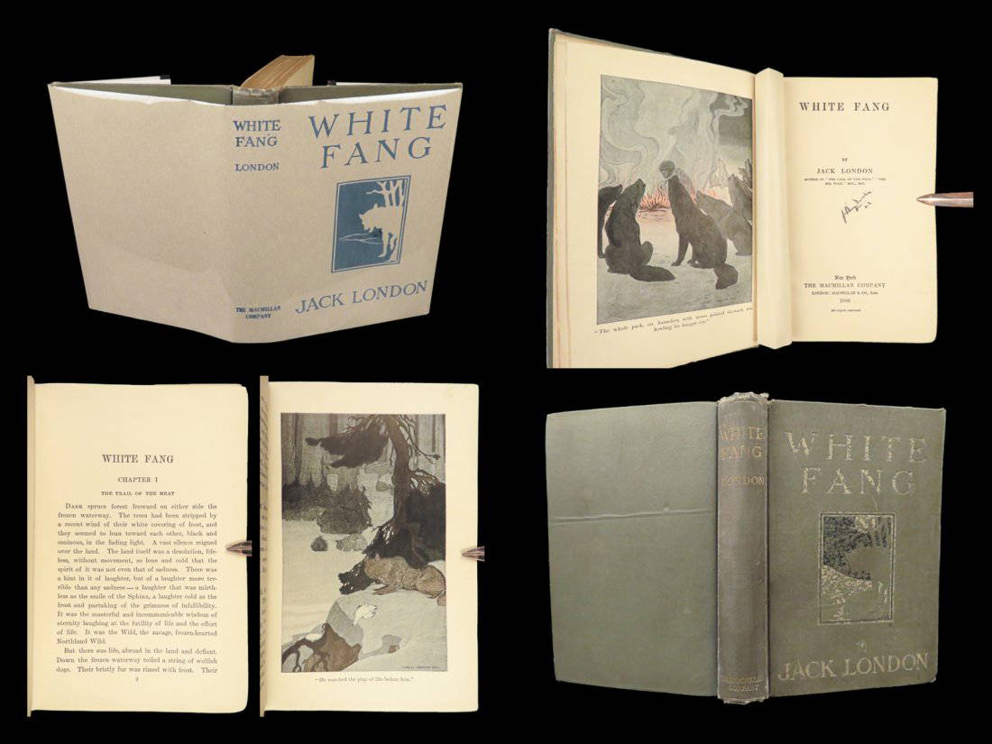 1906 White Fang 1st Ed Jack London Adventure Novel Illustrated Wolves ...