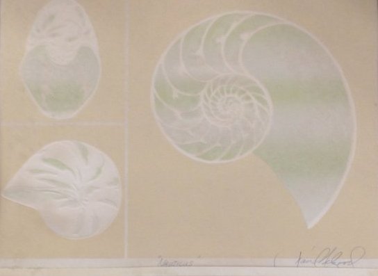 David Allgood 1984 "NAUTICUS" SIGNED serigraph COA - Jan 20, 2018 ...