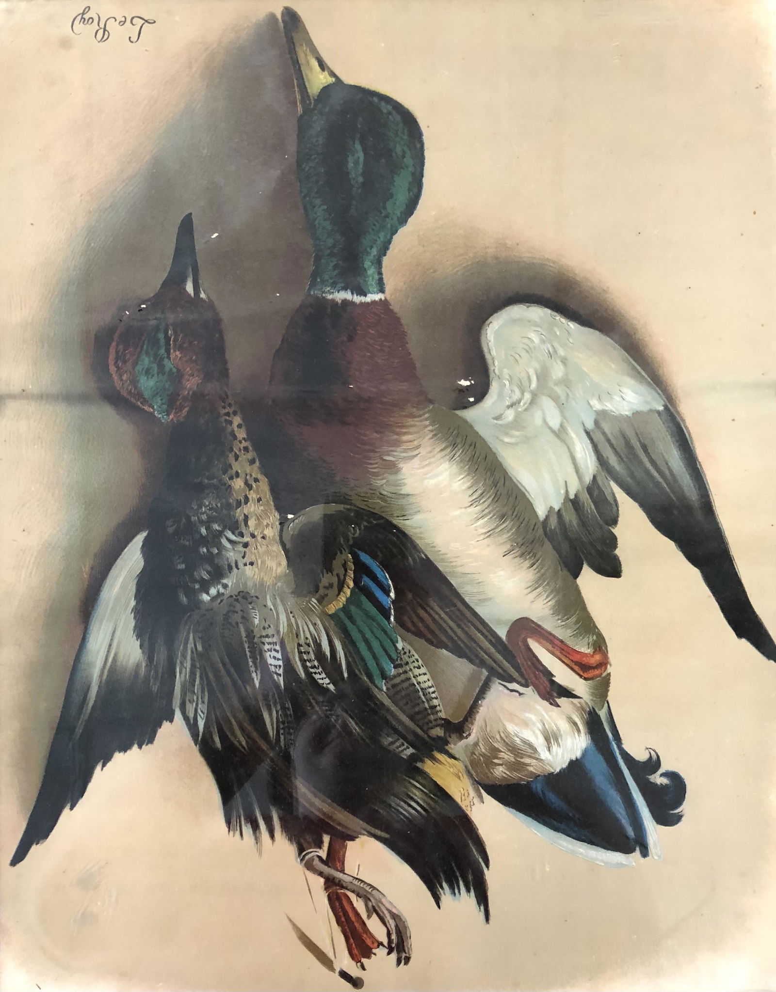 Roy Thompson Watercolor Of Ducks