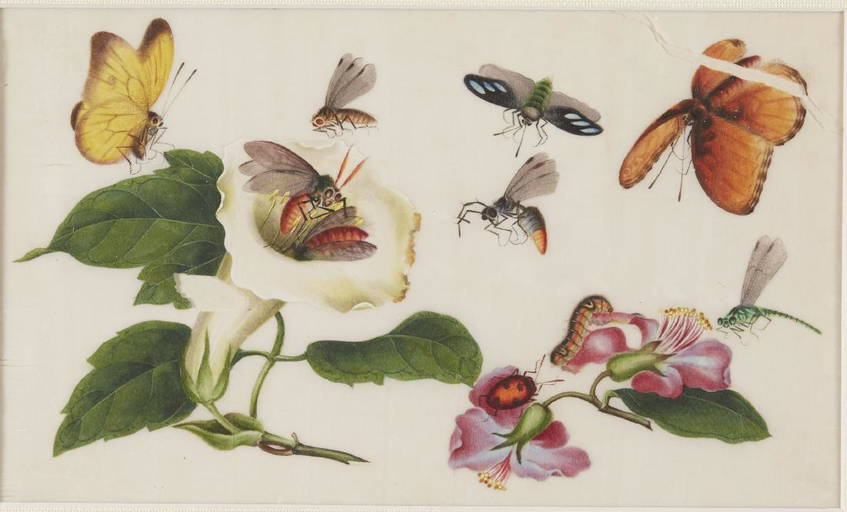 Pair Of 19th Century Chinese Pith Paper Paintings