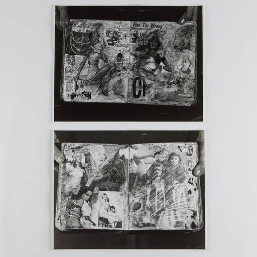 2 Peter Beard "diary" Photographs