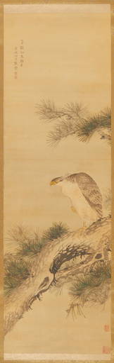 Zhang Pan Hawk Ink on Silk Scroll Painting (#0037) on Jan 24, 2023 ...