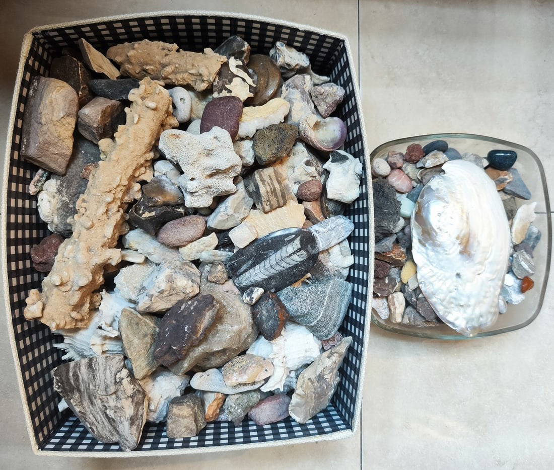 A Large Assortment Of Gems, Minerals, Fossils, Crystals And Shells Auction