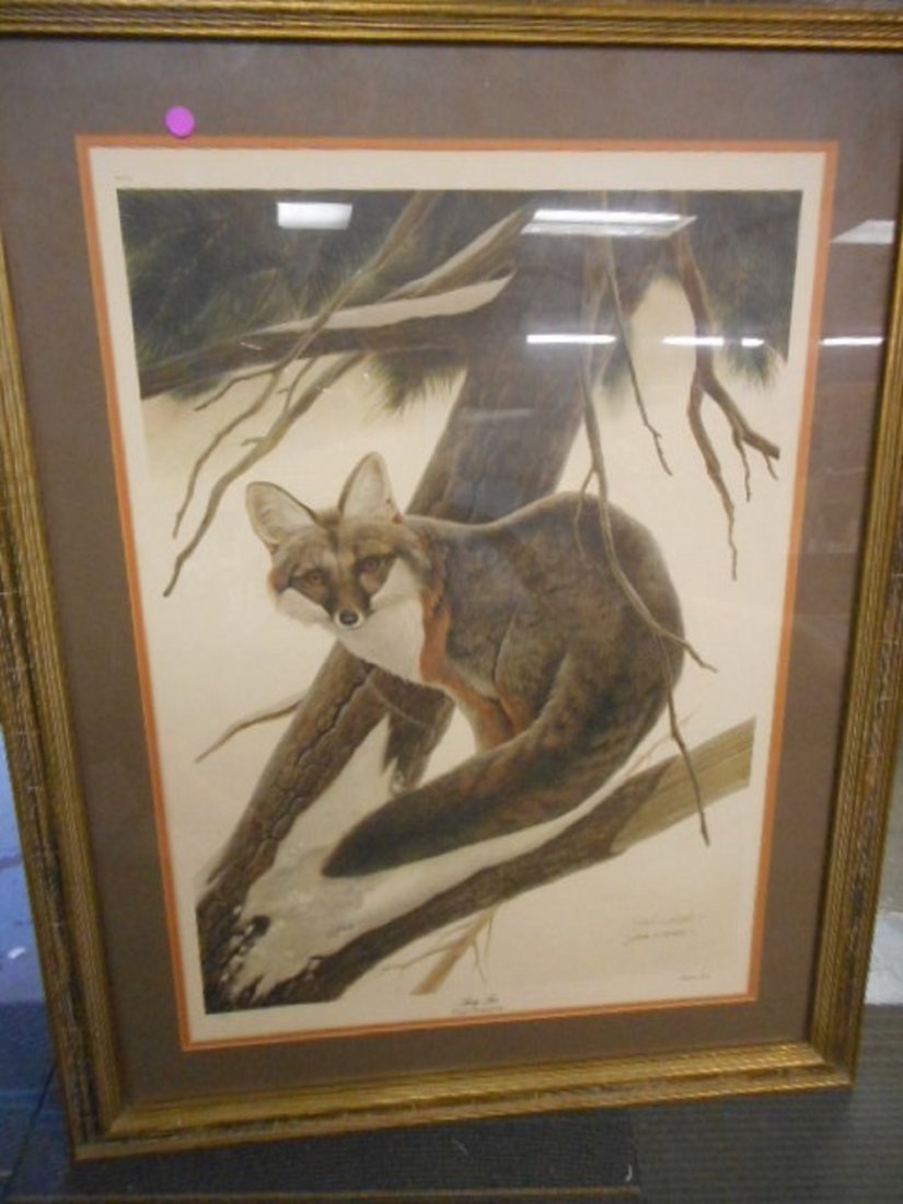 John A Ruthven "gray Fox" Plate 1 Signed/numbered Litho