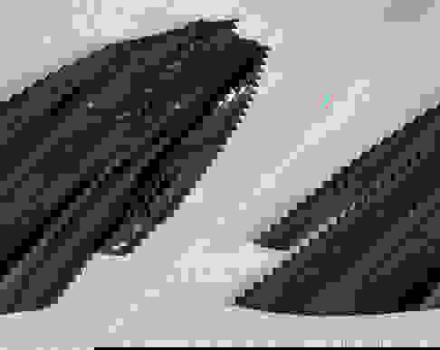 Russian Kornilov White Army Gymnasterka Auction