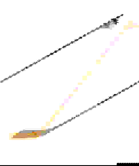 Signed Joe Sakic Colorado Avalanche Graf Hockey Stick Auction