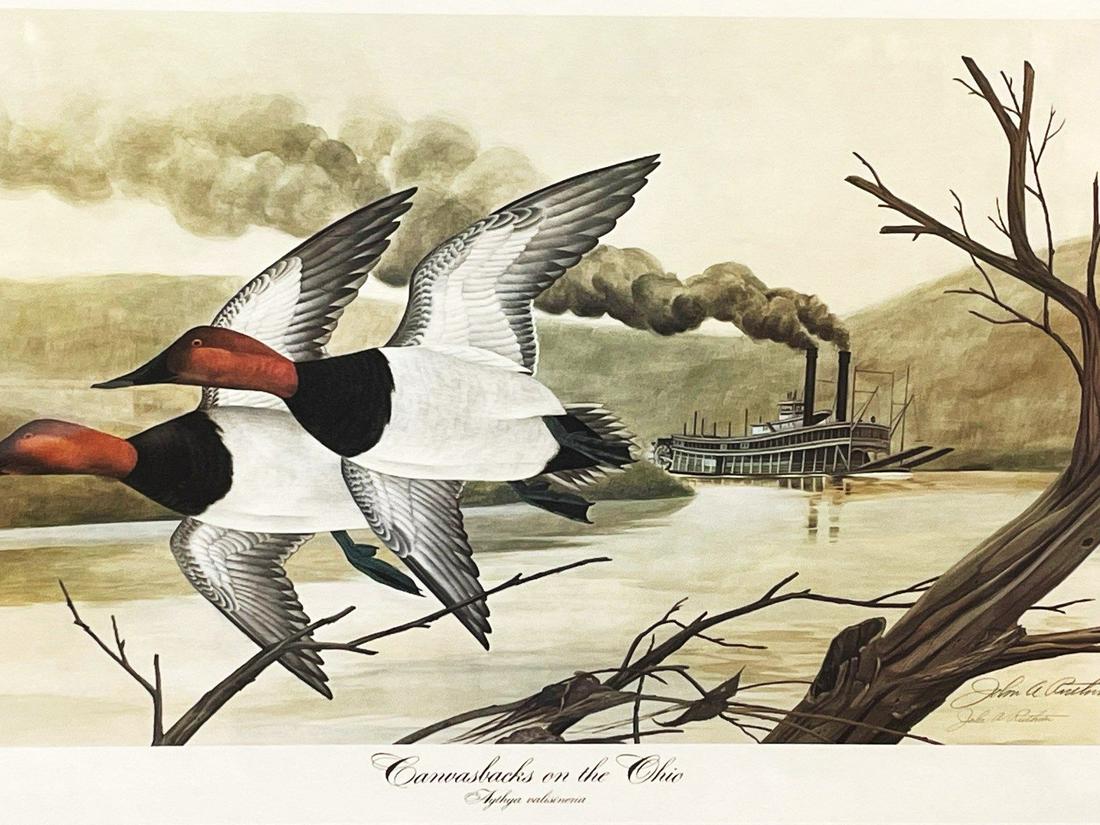 John Ruthven "canvasbacks On The Ohio" Lithograph