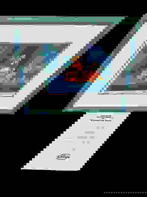 The New Adventures Of Winnie The Pooh Animation Cel Auction