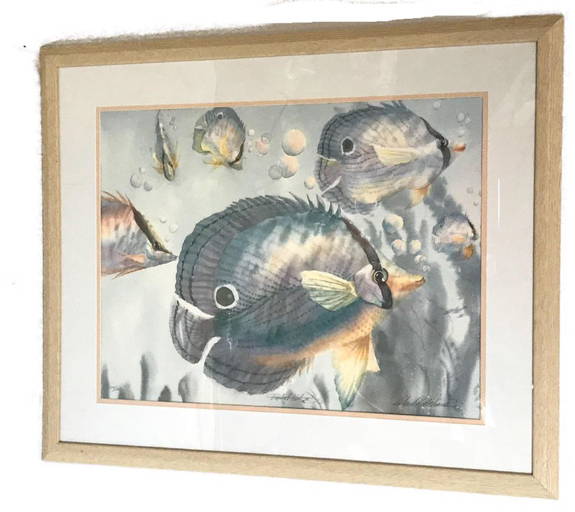 Richard E. Williams Tropical Fish Iii Lithograph