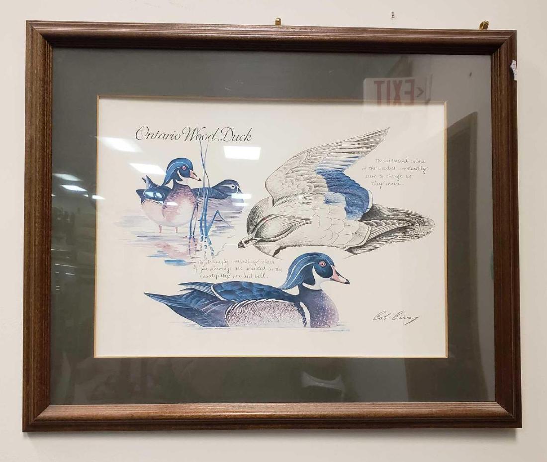 North American Duck Collection Wood Duck Bob Berry