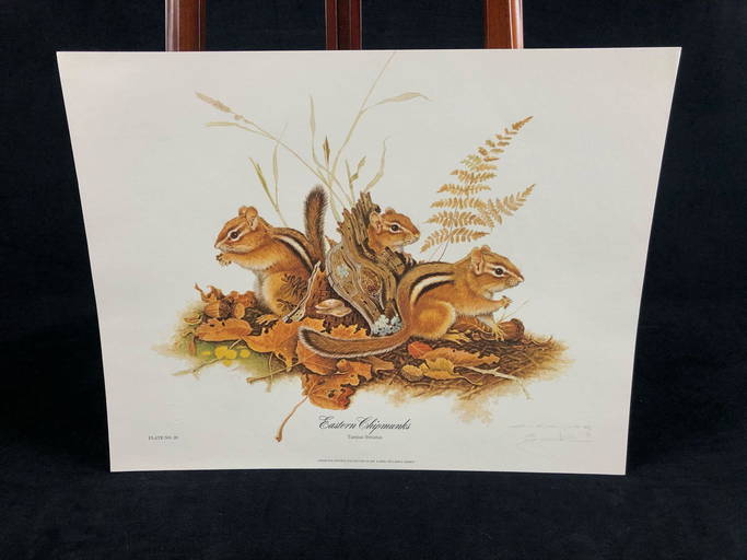 Vintage Wildlife Artist Jim Oliver "eastern Chipmunks"