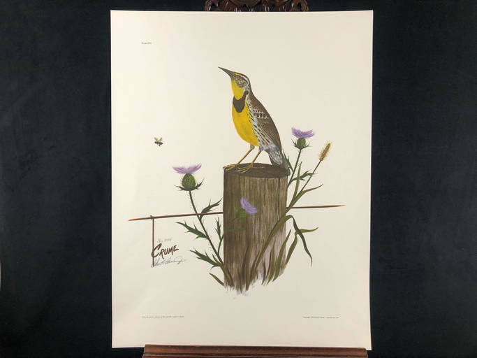 Vintage Sighed Wildlife Artist Charles T Crume "Eastern (#0500) on Dec ...