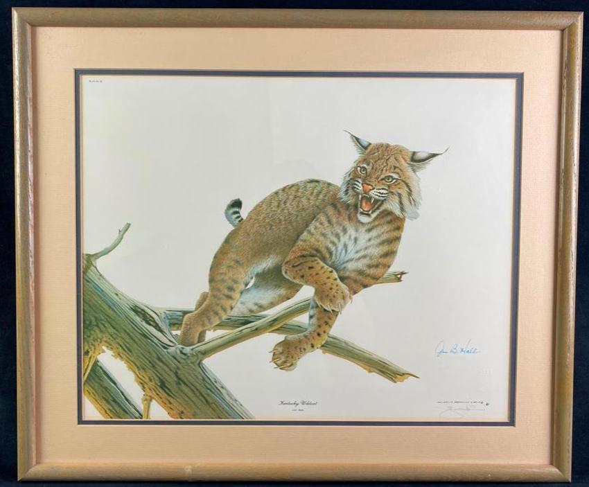 "Kentucky Wildcat" Print Signed Jim Oliver - Jan 08, 2023 | Rapid ...