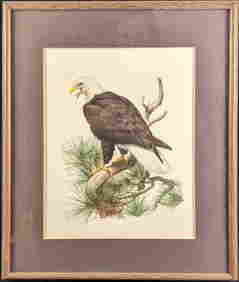 Kaiser Porcelain "American Bald Eagle" - Apr 28, 2019 | J. Garrett ...