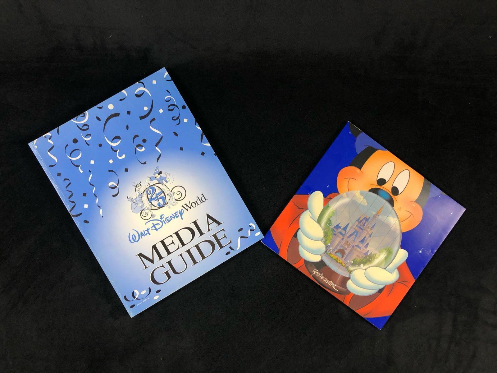 Walt Disney World 25th Anniversary Press Book Media Guide 1996 ...