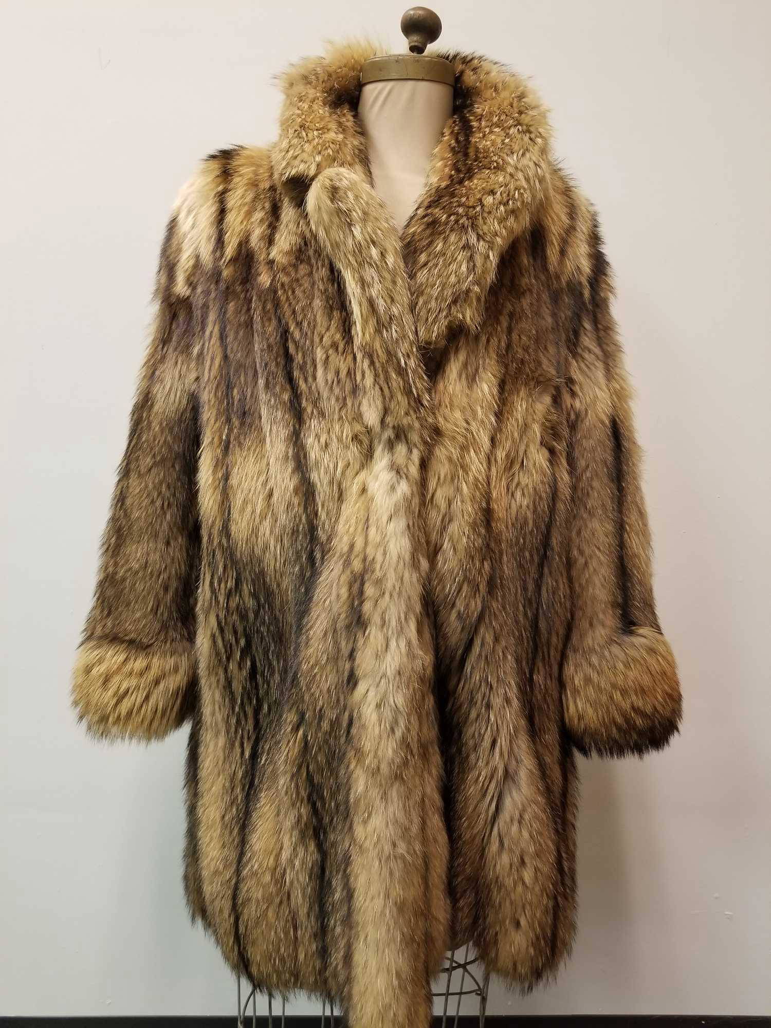 Tanuki Fur Coat Auction