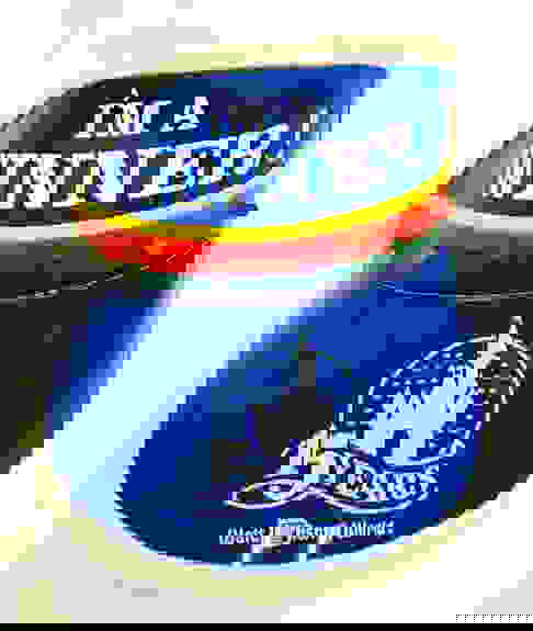 Walt Disney World 15 Years Im A Winner Visor 1986 Auction