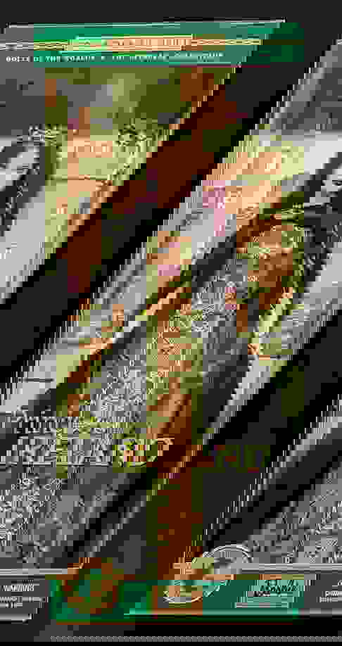 Princess Ireland Barbie Dolls Of The World Collection Auction