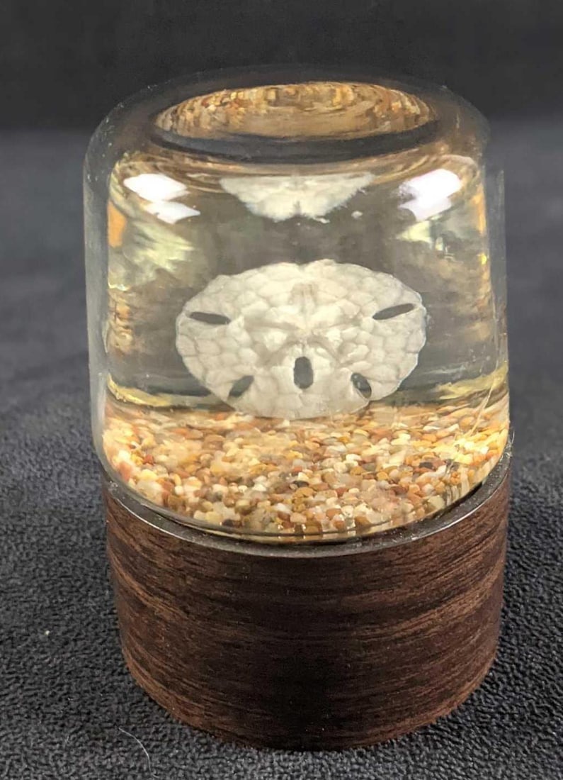 Vintage Nature Gems Sand Dollar Paperweight Auction