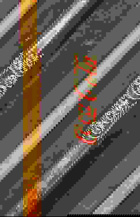 Wooden Coca Cola Pool Cue Stick Auction