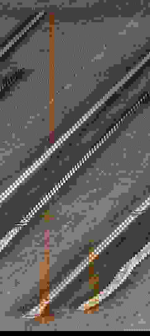 Harry Potter Interactive Oak & Hazel Wands Universal Studios Auction