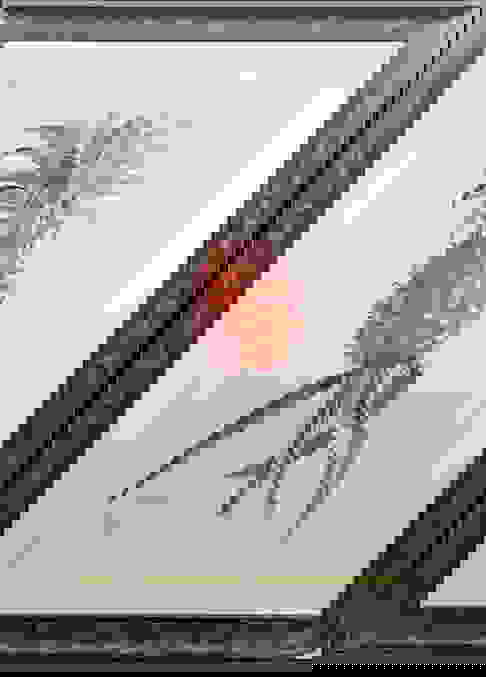 Framed Georg Dionysius Ehret Ananas Print Auction