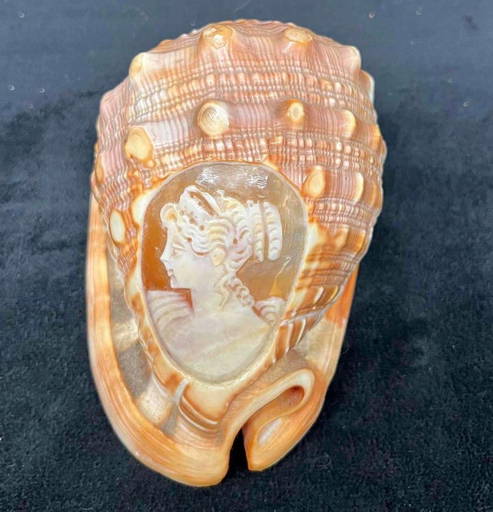 Hand Carved Cameo Victorian Lady Profile Seashell Conch Shell Italy