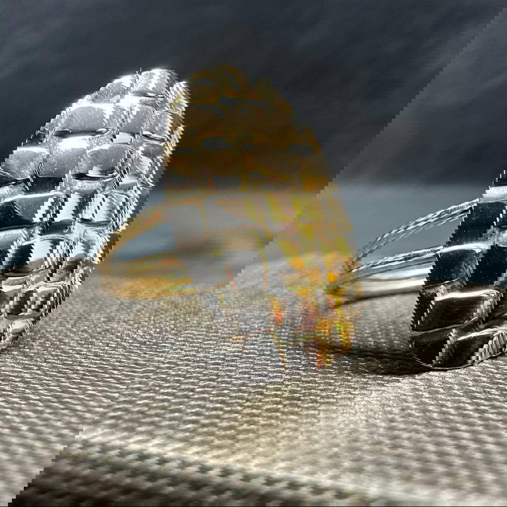 14k Gold Oval Shield Ring With Weave Pattern Auction