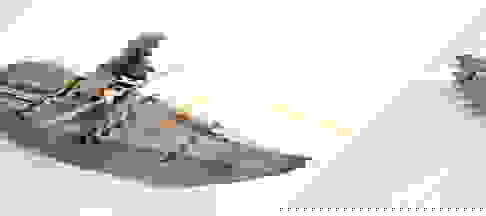 Inuit Soapstone Carving - Hunter In Kayak - 1950-60's Auction